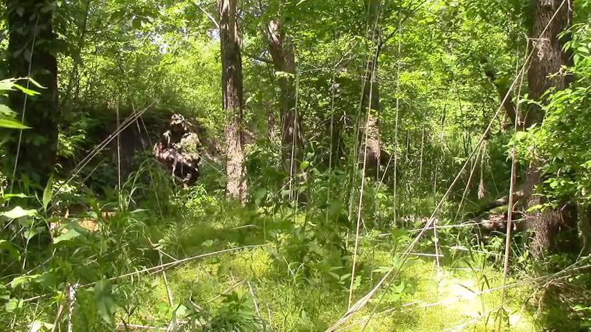 Camouflaged Data Object Detection Dataset And Pre Trained Model By New