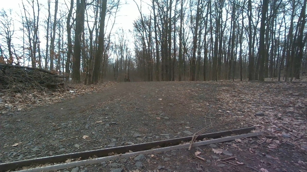 rdpr Instance Segmentation Dataset by tomas liveen