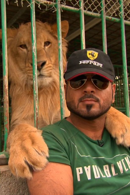 Animal detection Object Detection Dataset by novon