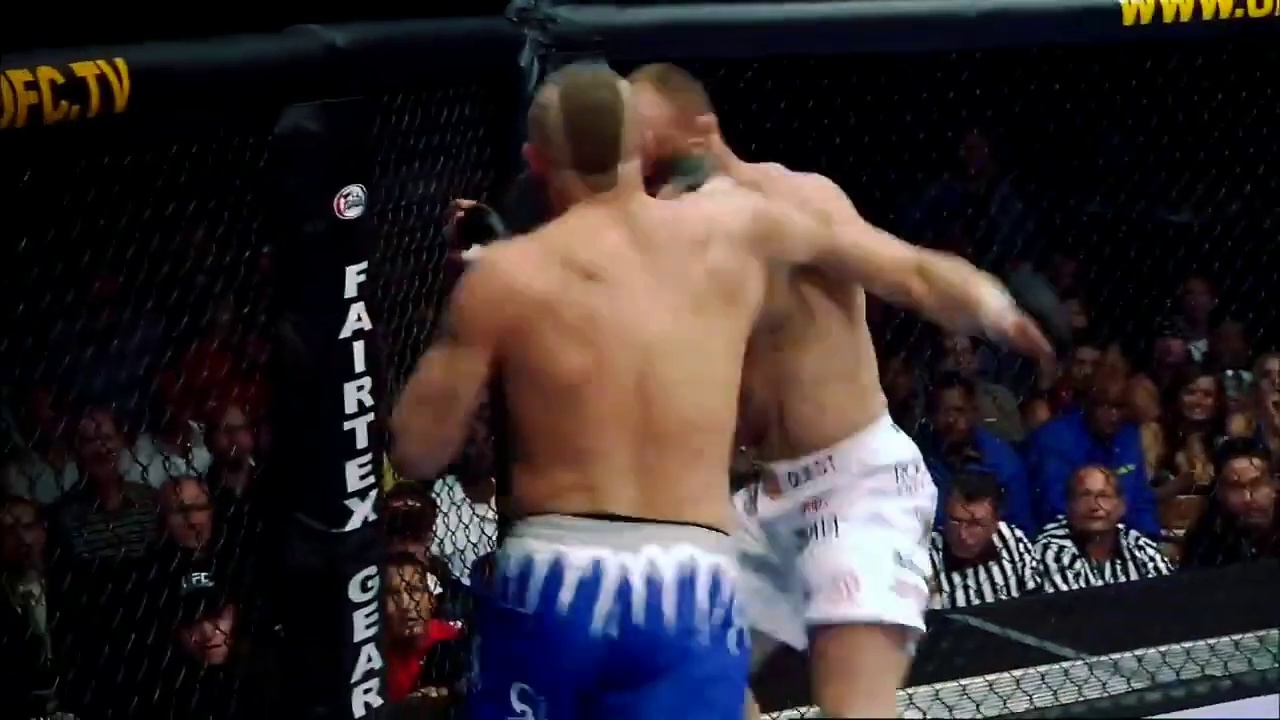 How to Use the ufc fight analysis Object Detection API