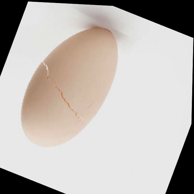 Egg Cracks Object Detection Dataset By Egg Segmentation