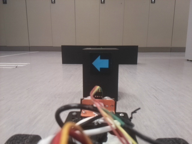 training Object Detection Dataset and Pre-Trained Model by MyDepressionProj