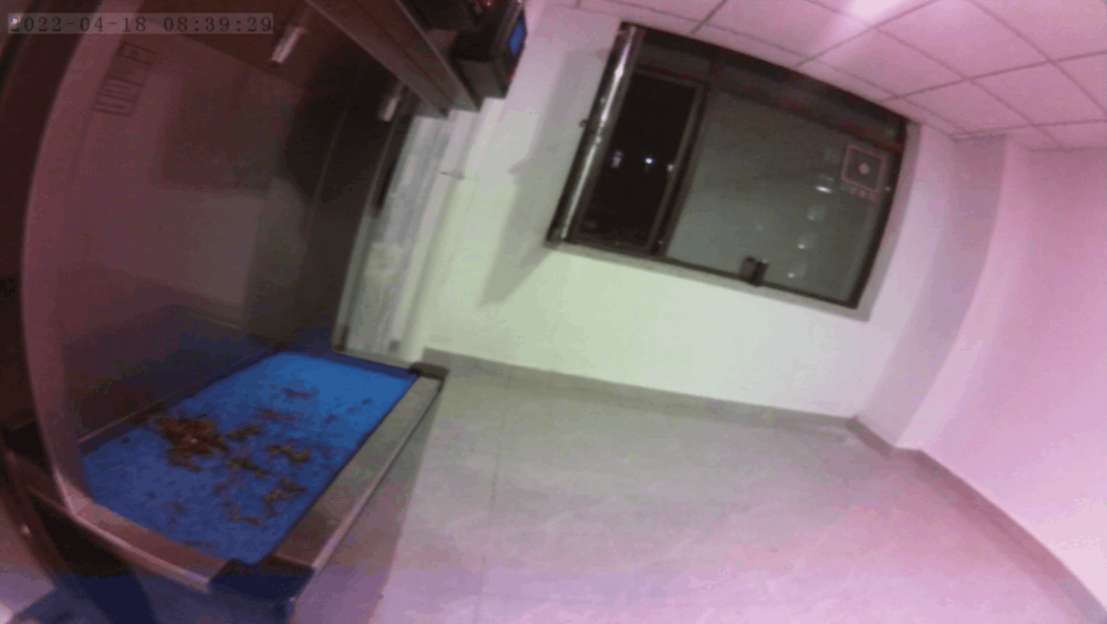 Tea2 Object Detection Dataset By Huawei