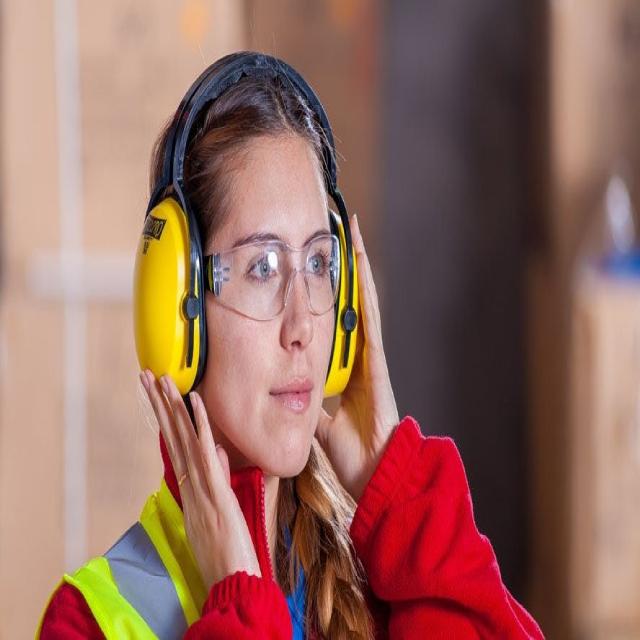 Ppe Dataset For Workplace Object Detection Dataset V1 2024 01 14 2