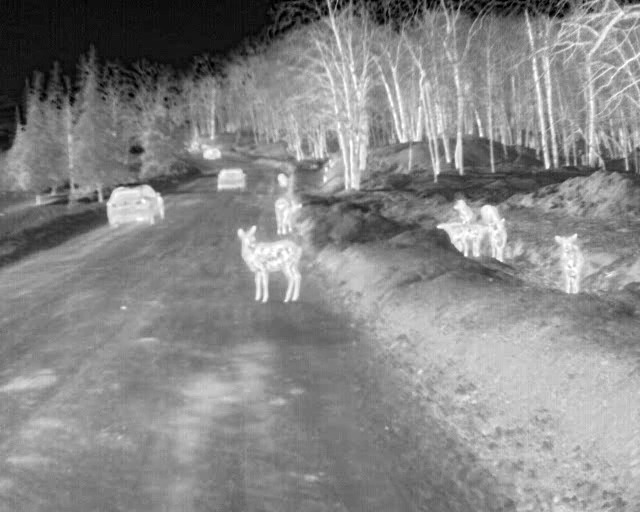 Thermal Images Object Detection Dataset by new-workspace-ngtiz