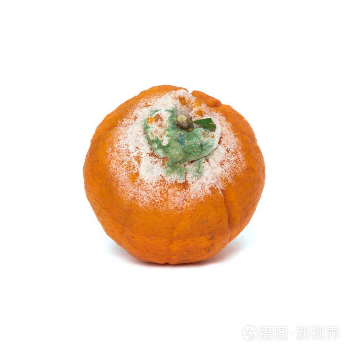 Mold Coverage Object Detection Dataset And Pre Trained Model By Mold Coverage