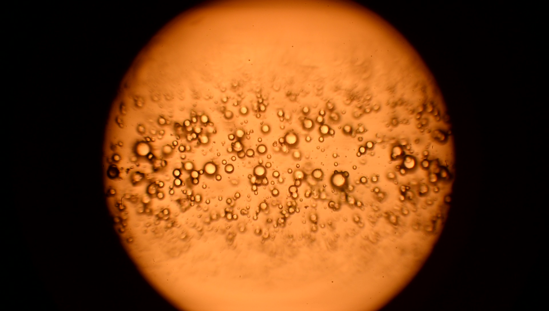 Droplet Data Set2 Object Detection Dataset V1 2022 07 21 9 21pm By