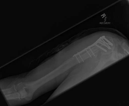 Science Research 2023: Binary Classification V3 Classification Dataset (v2, 2022-10-20 8:59am ...