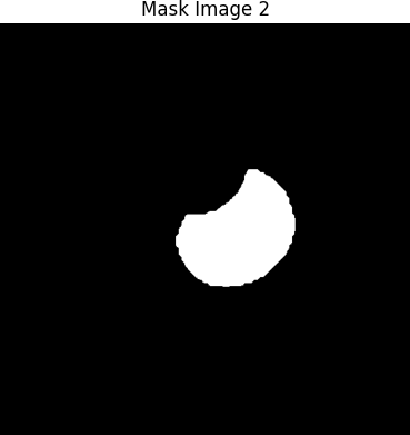 masks Instance Segmentation Dataset and Pre-Trained Model by tomato
