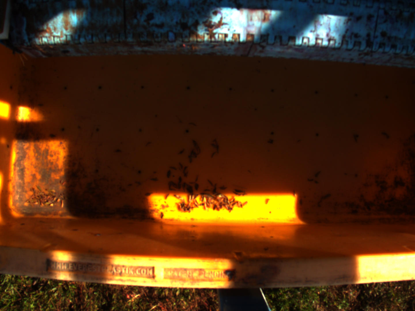 Blueberry debris detection Instance Segmentation Dataset and Pre-Trained Model by Debris ...