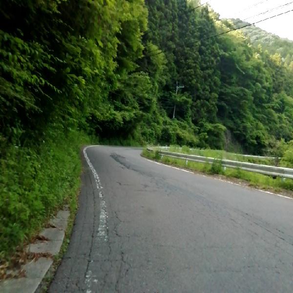 Road Defect Object Detection Dataset And Pre Trained Model By Pd