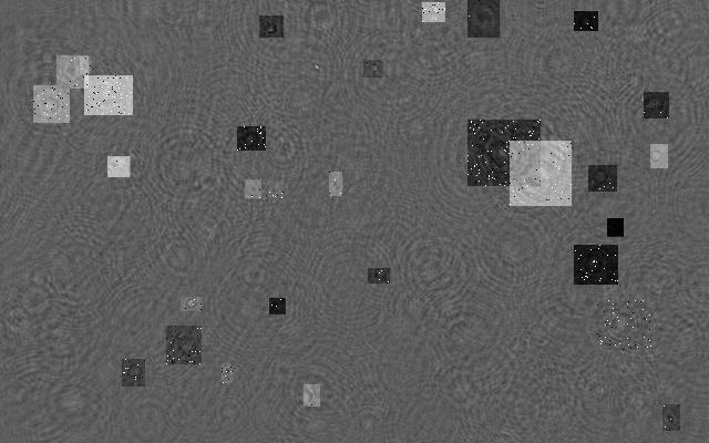 Ecoli Infocus Image Dataset Lei Feng Workspace Object Detection