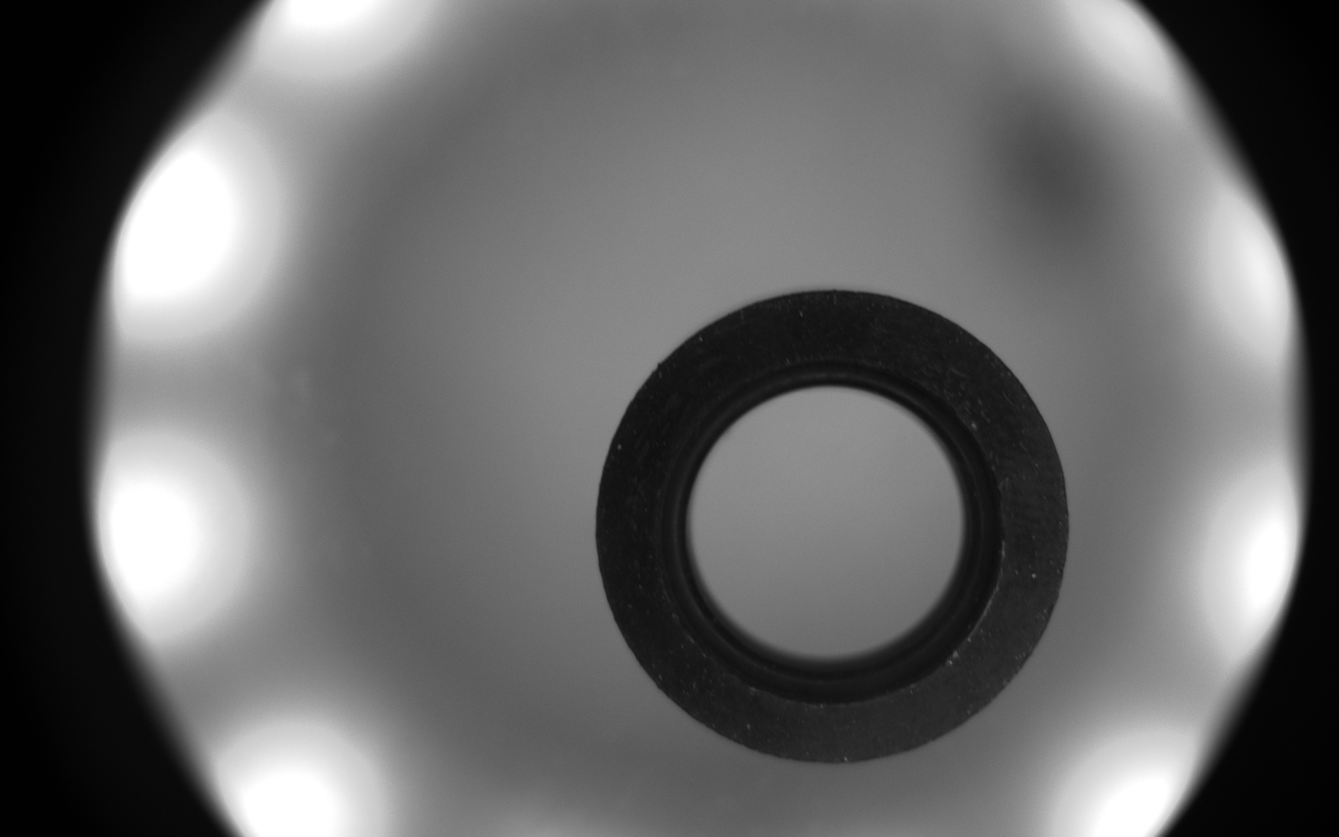 idod Instance Segmentation Dataset by College