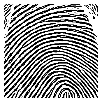 Fingerprint Minutiae Object Detection Dataset by Khubab Ahmad