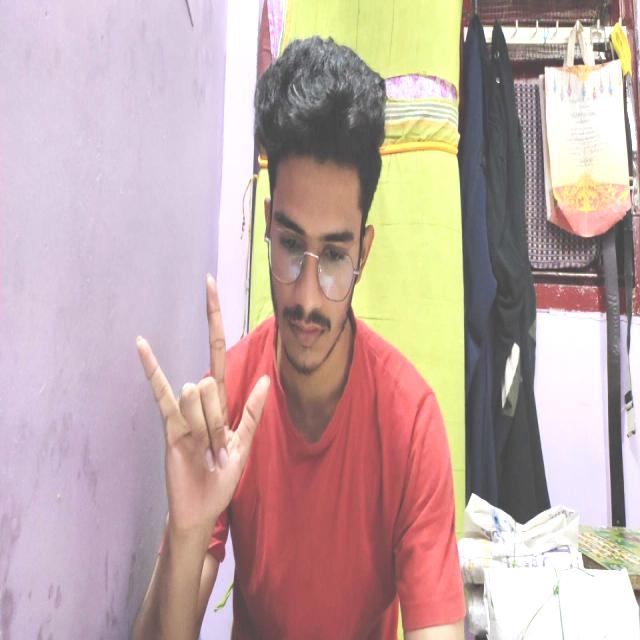 ASL Object Detection Dataset and Pre-Trained Model by sign