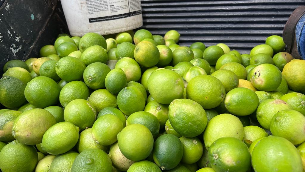 Enfermedades limon Tahiti Object Detection Dataset and Pre-Trained ...