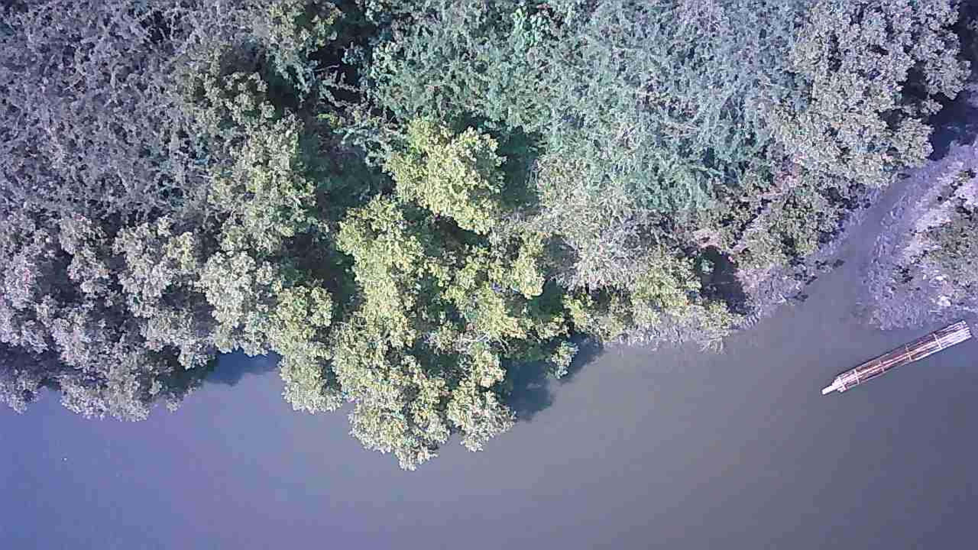 How to Use the OBJECT DETECTION MANGROVES Object Detection API