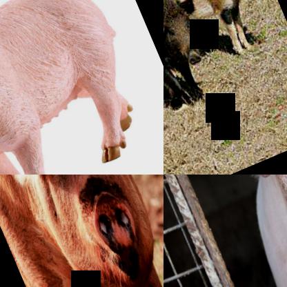 pig_detecting Object Detection Dataset and Pre-Trained Model by Elumalai S