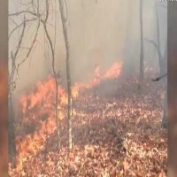 Fire Images Object Detection Dataset by FireDetection