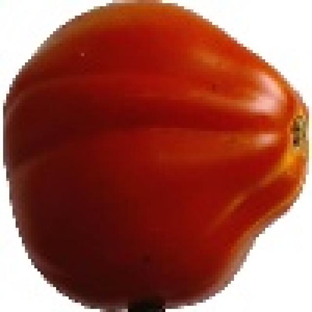 Apples_and_Tomatoes Instance Segmentation Dataset by CognitionandAIApples