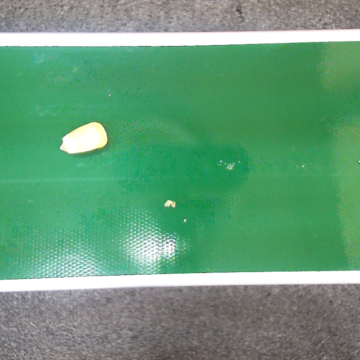 quality inspection of maize kernel Object Detection Dataset by congcheng zhang