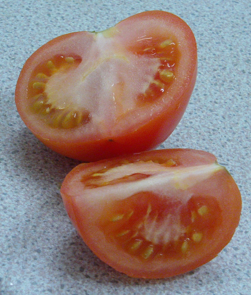 tomato Object Detection Dataset by CYH