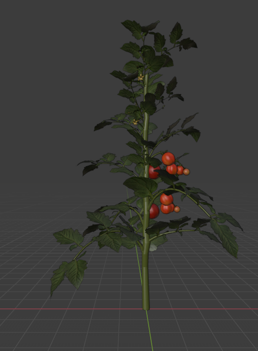 Tomato Simulator Instance Segmentation Dataset by WUR thesis