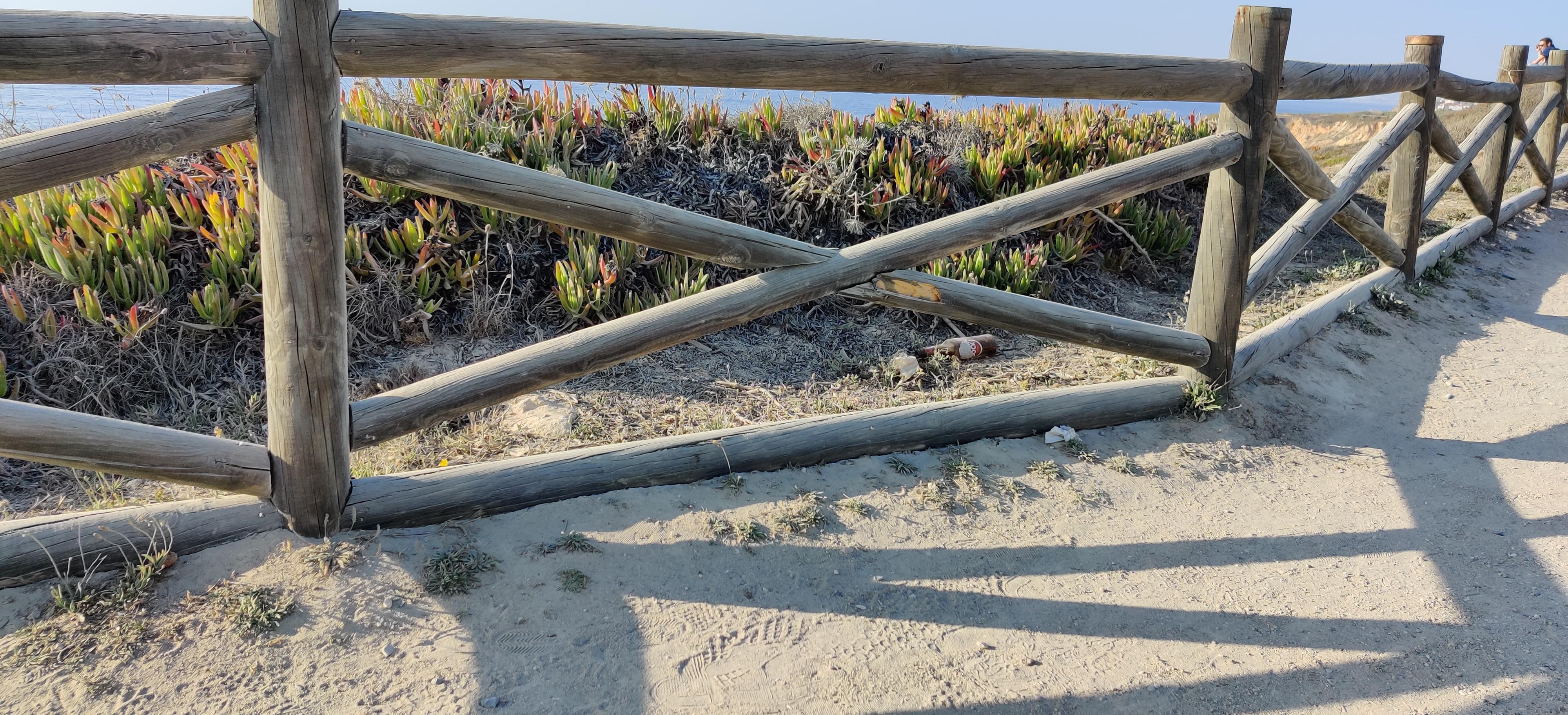 taco_test_1 Object Detection Dataset and Pre-Trained Model by SE MEX 2022