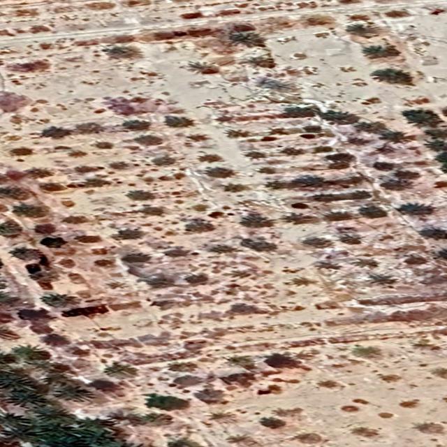 Palm Detection Object Detection Dataset By Detectiongazflares