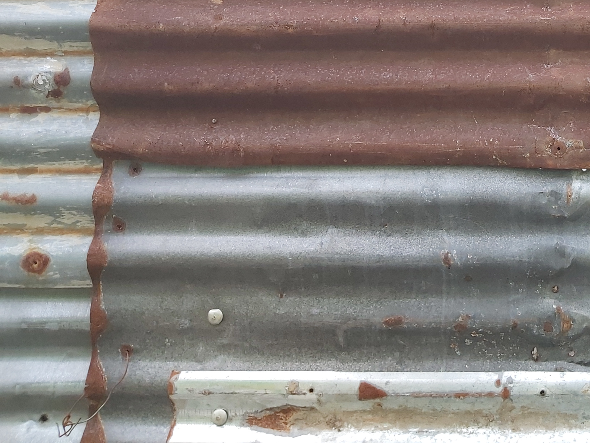 Rust Classification Classification Dataset and Pre-Trained Model by ...