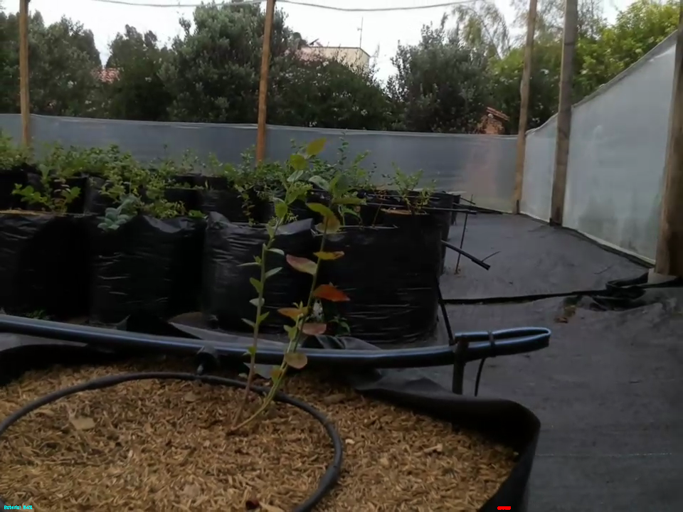 Plant Healthy Objectdetection Object Detection Dataset And Pre Trained