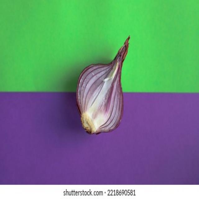 bad onion Object Detection Dataset and Pre-Trained Model by DIAT