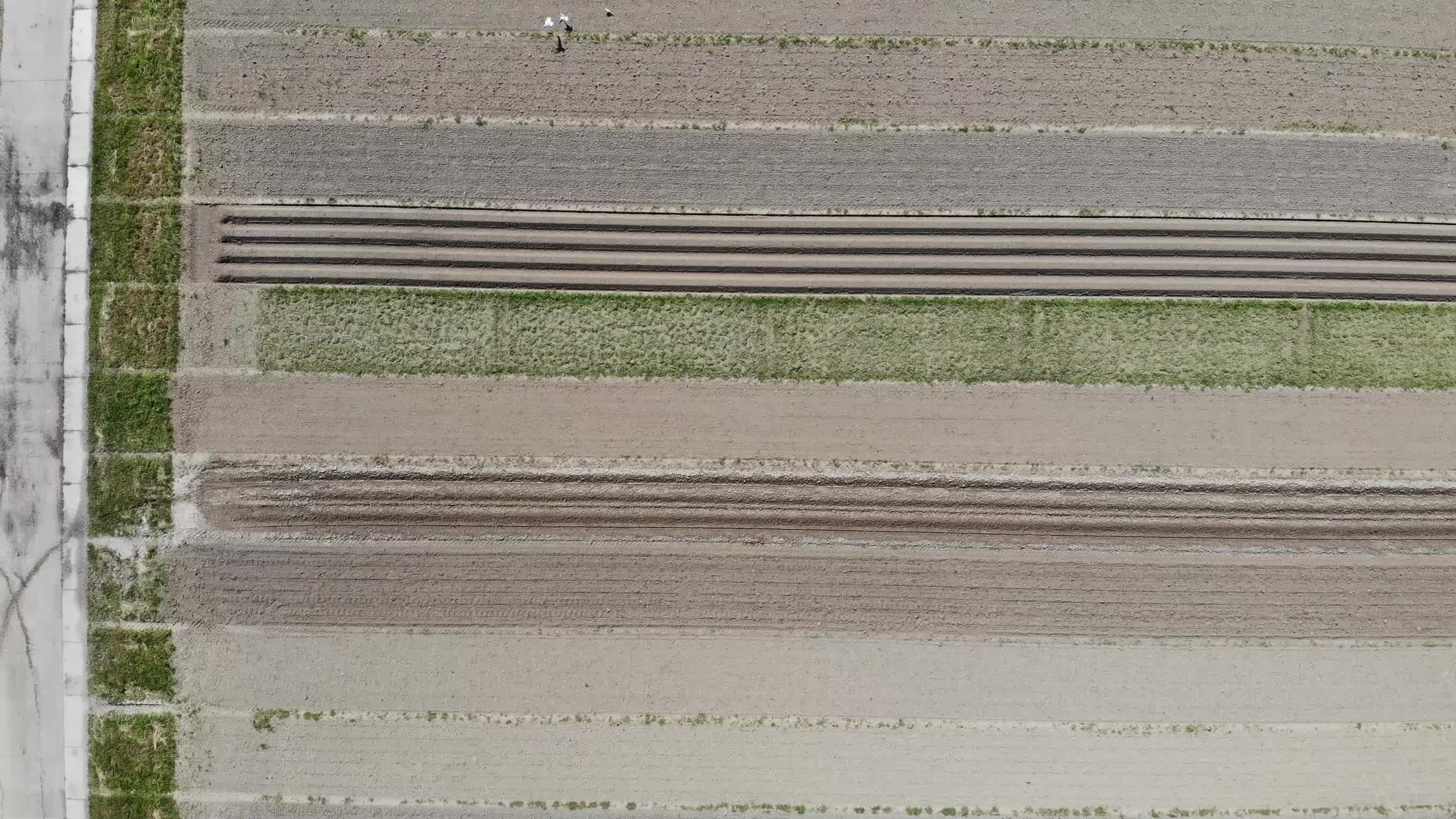 Bird Detection Object Detection Dataset And Pre Trained Model By