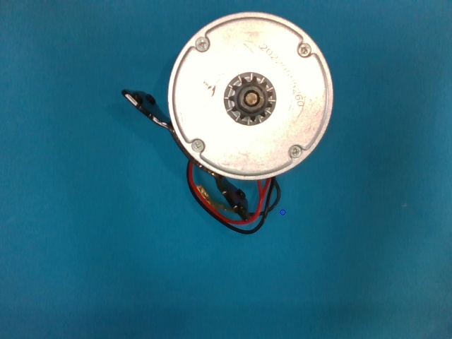 screew Object Detection Dataset and Pre-Trained Model by Bristol