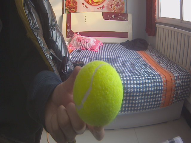 How to Use the ball_det Object Detection API