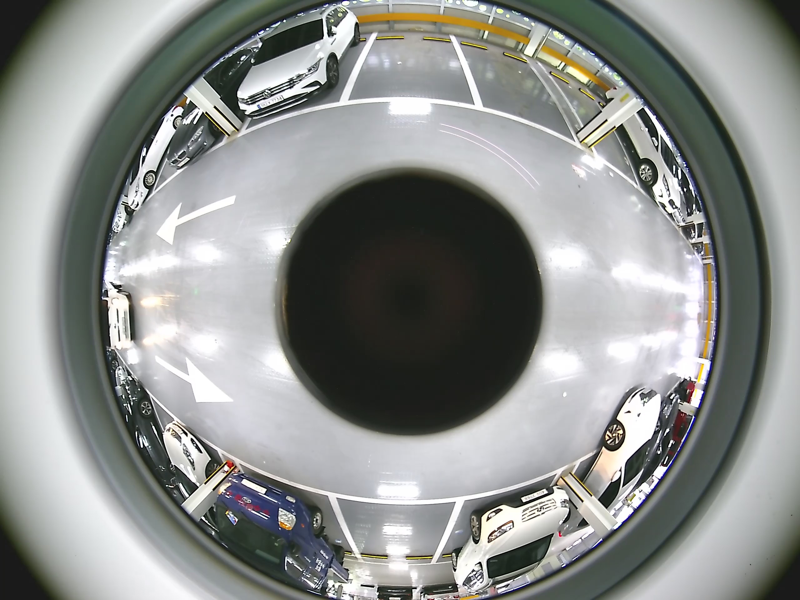 Fish_eye_train Object Detection Dataset by Hongik university