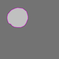 Compaction Detection Instance Segmentation Dataset and Pre-Trained Model by Thesis Fingerlings ...