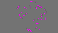 v2-milkfish-fingerling-dataset Instance Segmentation Dataset and Pre ...