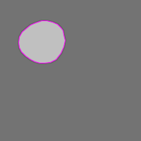 Compaction Detection Instance Segmentation Dataset and Pre-Trained Model by Thesis Fingerlings ...