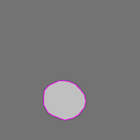Compaction Detection Instance Segmentation Dataset and Pre-Trained Model by Thesis Fingerlings ...