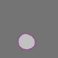 Compaction Detection Instance Segmentation Dataset and Pre-Trained Model by Thesis Fingerlings ...