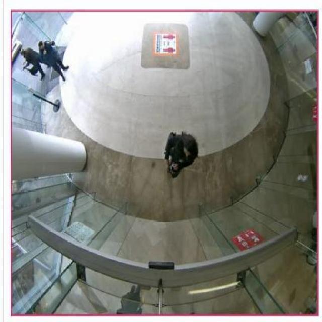 Head Counting Object Detection Dataset and Pre-Trained Model by Walailak