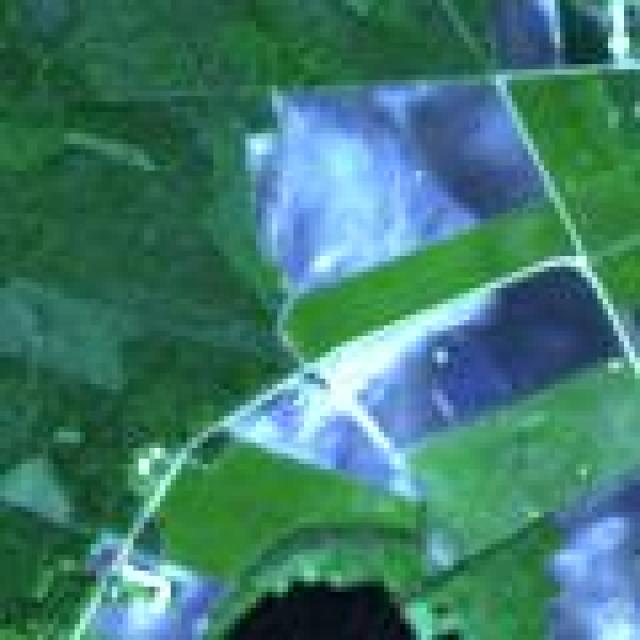Water Object Detection Dataset By Krishna Sai