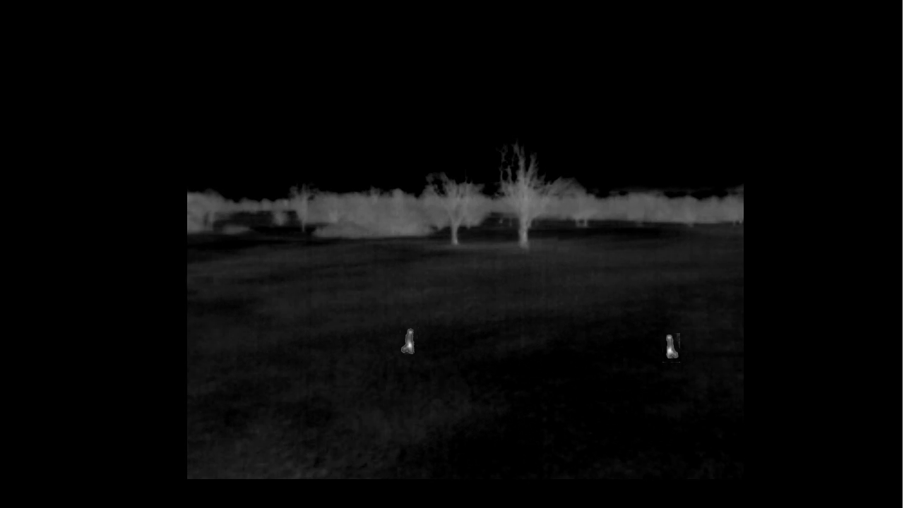 Test Object Detection Dataset By Flir