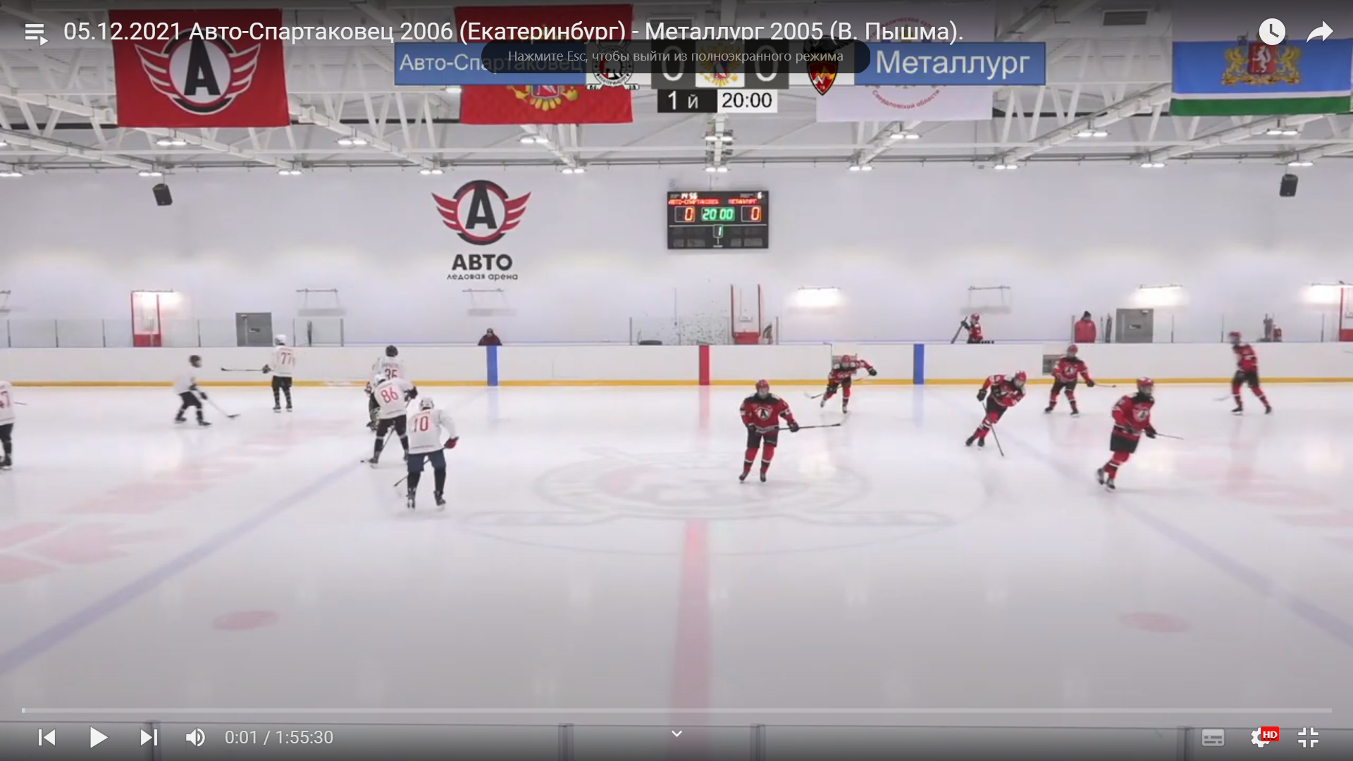 How to Use the hockey detection Object Detection API