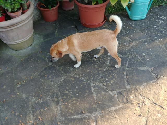 KLE Tech (kle-tech-m9wjz) - Roboflow Universe