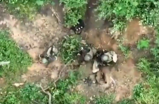 Vehicle OD Object Detection Dataset and Pre-Trained Model by Dylan Nguyen