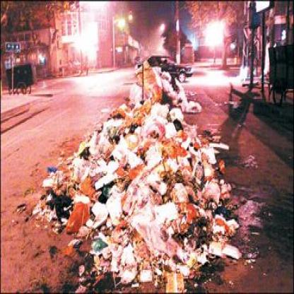 trash detection Object Detection Dataset and Pre-Trained Model by college