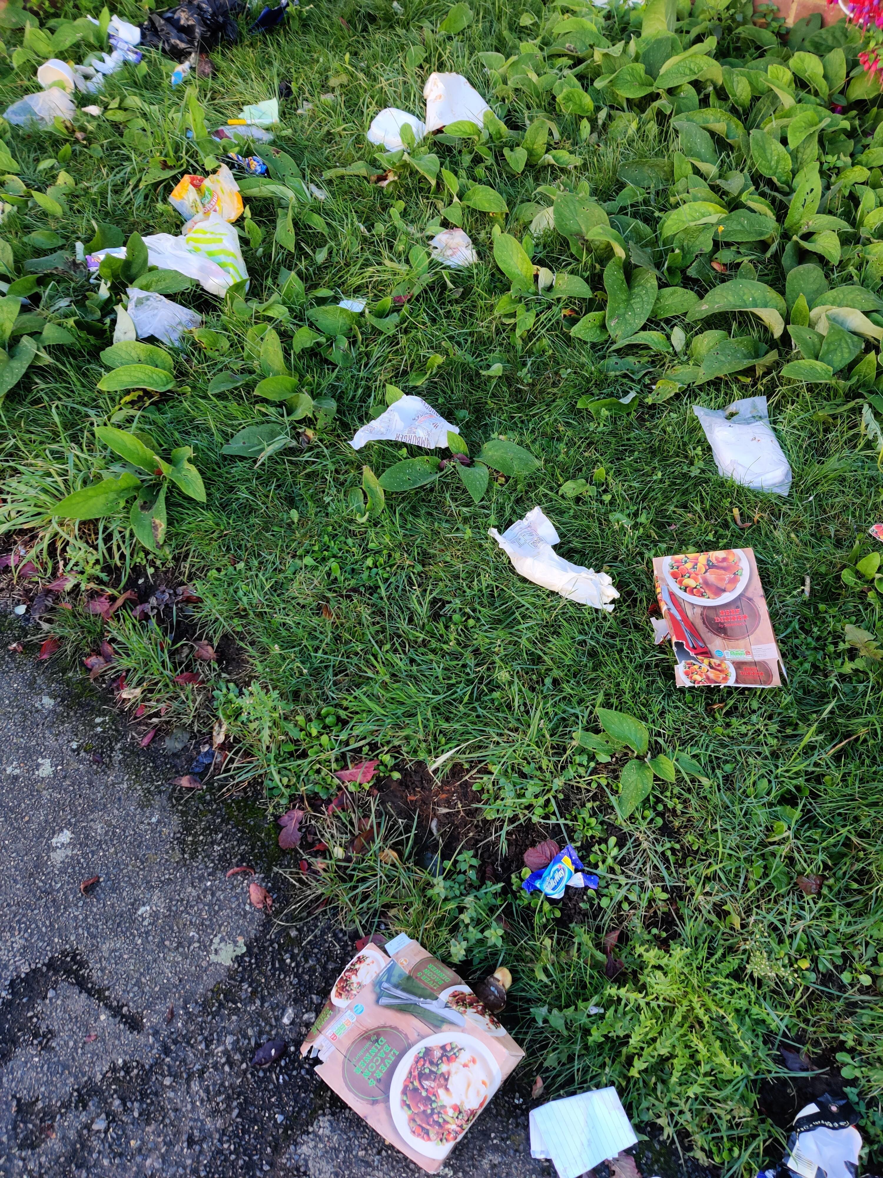 Mc Mc Immcf Roboflow Universe