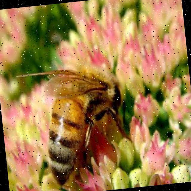 Bees Object Detection Dataset By Bees Dataset